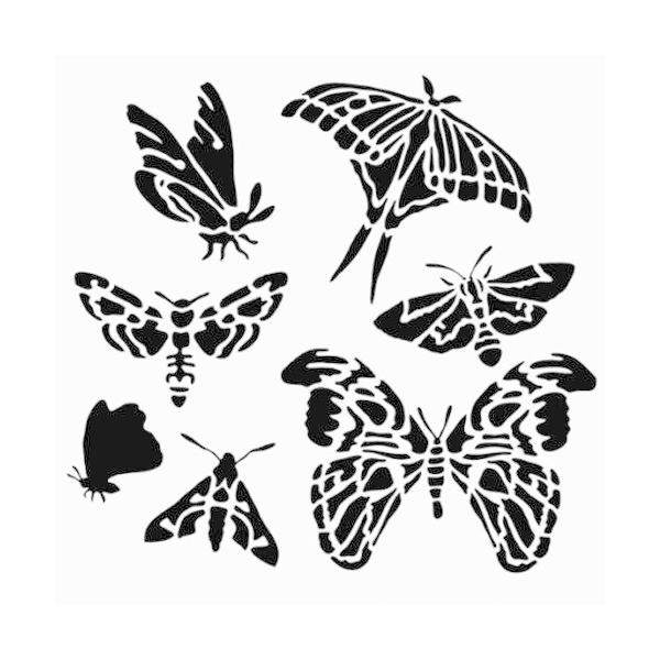 優美な蛾 (TCW580s)152x152mm