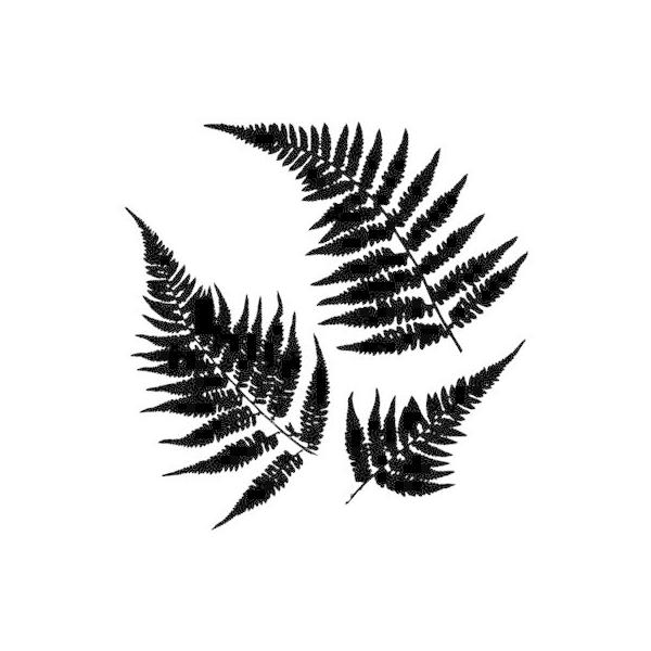 Mini Ferns150x150 mm柔軟性のあるプラスチック製。