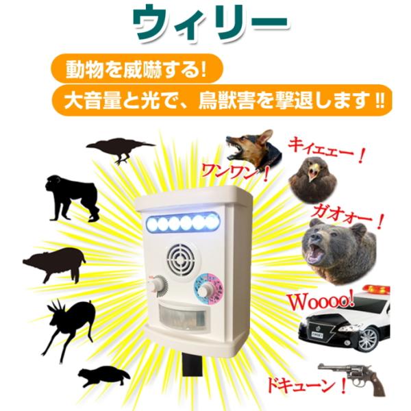 【鳥獣撃退器ウィリー】★ソーラー充電式・配線不要です。設置は地面に差し込むだけ！★フラッシュを使って、畑・芝庭・花壇・牧場を野生動物から守ります。【使用上の注意】●本品は鳥・犬・猫・ネズミ・イノシシ・鹿などの動物から、畑や庭の被害を軽減する...