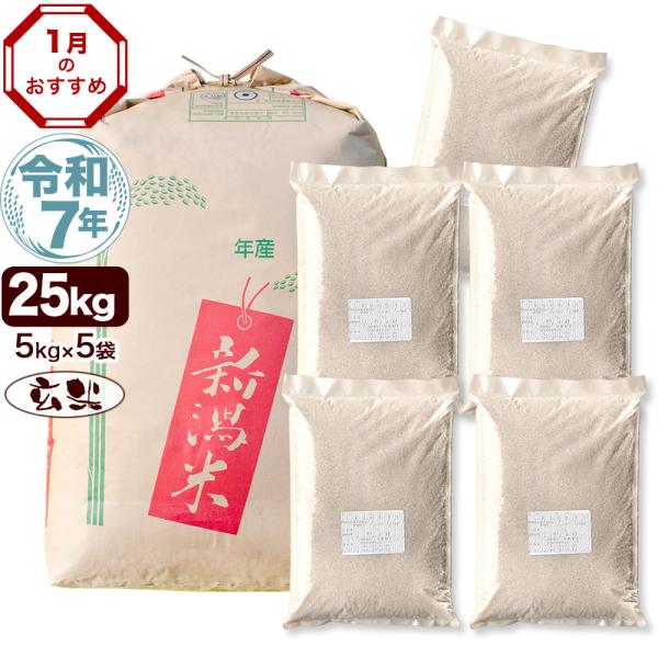 【送料無料】（北海道、九州、沖縄除く）こしいぶきはコシヒカリと同系統のお米ですが、しっかりとした食味を持ち、かつ、リーズナブルなお手頃価格が人気のお米です。しっかりめの食感なので若い世代や育ち盛りのお子様の居るご家庭にぴったりです。【名称】...