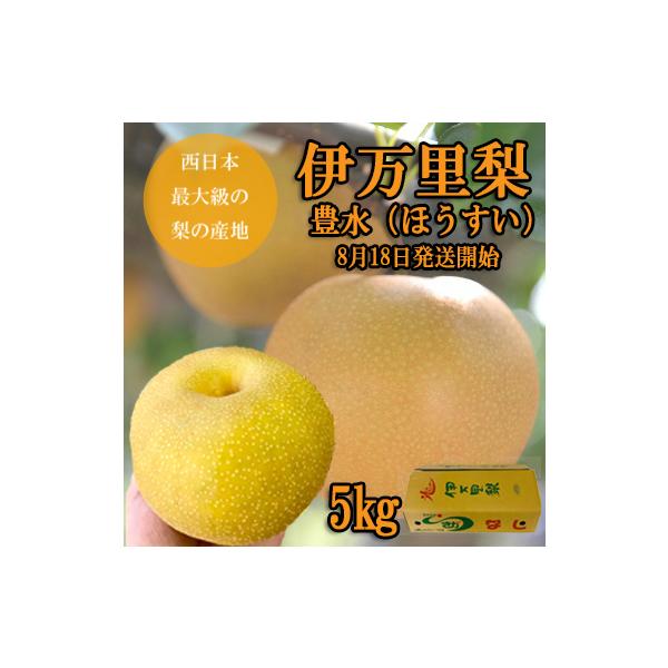 【発売日：2026年08月18日】【先行予約】【フルーツ】●甘くてジューシーな豊水●みずみずしい果汁たっぷり●光センサーで糖度管理太陽の光を全身に浴びて育った甘さが持ち味の伊万里太陽の梨「豊水」。その果肉はやわらかく、みずみずしさいっぱいで...