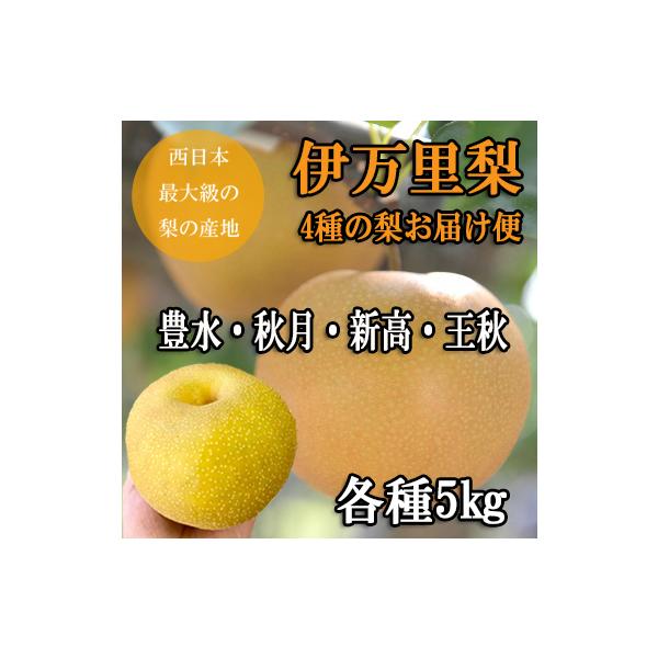 【発売日：2026年08月18日】【先行予約】【フルーツ】【定期お届け】それぞれ購入する場合よりお得4種の梨を旬の時期にお届けします。4回発送（クール送料込み）●甘くてジューシーな豊水●みずみずしい果汁たっぷり太陽の光を全身に浴びて育った甘...