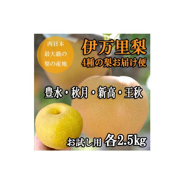 【発売日：2026年08月18日】【先行予約】【フルーツ】【定期お届け】それぞれ購入する場合よりお得4種の梨を旬の時期にお届けします。4回発送（クール送料込み）●甘くてジューシーな豊水●みずみずしい果汁たっぷり太陽の光を全身に浴びて育った甘...