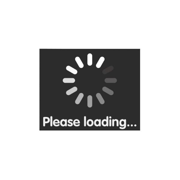 PLEASE LOADING 。。。 ステッカー愛車のリアガラスや冷蔵庫、家具、なんでもOK！貼るだけで「ただいまロード中」というパソコンのような表示になるジョークステッカー！