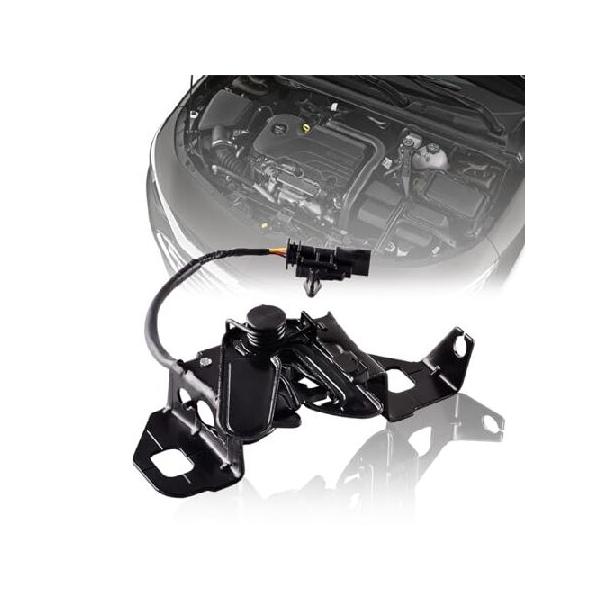 ※海外からのお取り寄せ商品の為、お届けまでに通常約2-3週間を頂戴しております。※税関にて開封される場合がありますが、新品・未使用商品です。※輸入品のためパッケージに輸送時に伴うスレや傷がある場合がございますが、商品に問題はございませんので...