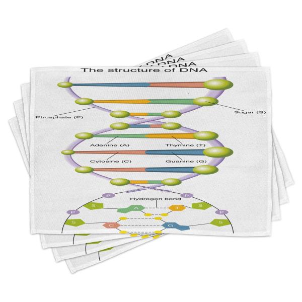 商品名:  Ambesonne Science Place Mats Set of 4, Colorful Structure of DNA Genetic Code Elements Nucleotides Scientific Stud...