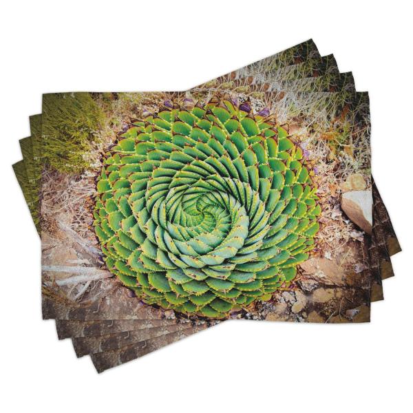商品名:  Ambesonne Plant Place Mats Set of 4, National Flower of Lesotho South of Africa Aloe Polyphylla Spinning Spiral Al...