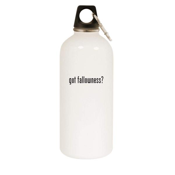 商品名:  Molandra Products got fallowness? - 20oz Stainless Steel White Water Bottle with Carabiner, Whiteブランド: Molandra Pr...