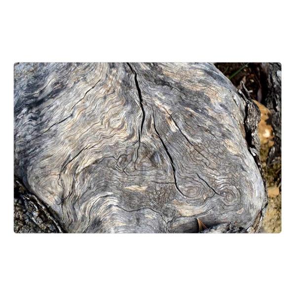 商品名:  LESGAULEST Doormat Floor Rug/Mat (23.6 x 15.7 inch) - Bark Structure Tree Log Nature Tree Bark Tribeブランド: LESGAULE...