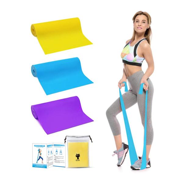 商品名:  Qiaoshu Resistance Bands Set, Exercise Bands, Training Stretch Band, for Physical Therapy, Strength Training, Yoga...