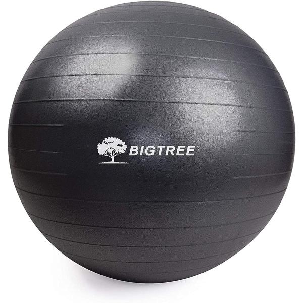 商品名Exercise Ball, Yoga Ball Balance Pilates Anti-Burst with Pump Stability Fitness Ball Birthing Chair for Workout Core ...