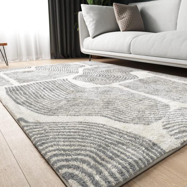 商品名:  ODIKA Soft 3x5 Area Rug, Anti Slip, Washable, Pet Friendly, Faux Cashmere Modern Carpet for Living Room Bedroom (G...
