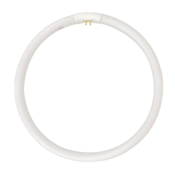 商品名:  KosunRefill 11” FCT5-40W-CW Circline Fluorescent Bulb,4100K Cool White,T5 40W Circular Bulb,G10q Base 4 Pins Inwar...