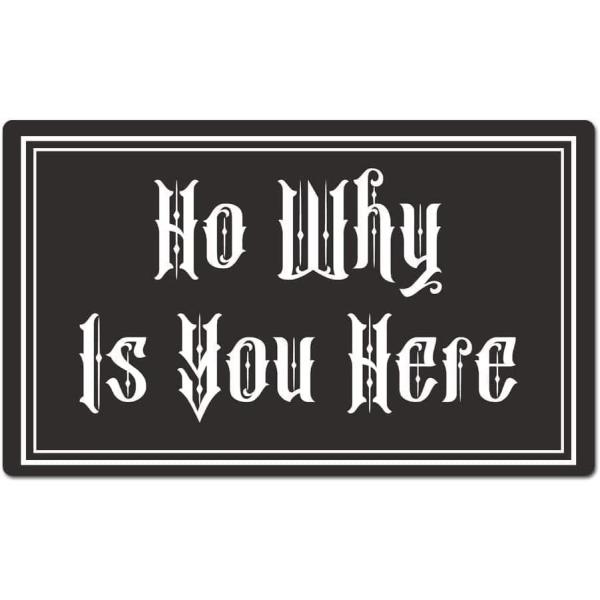 商品名Ho Why is You Here Funny Welcome Home Mats Decoration Doormat Entrance Way Non-Slip Door Mats Front Indoor or Outdoor...