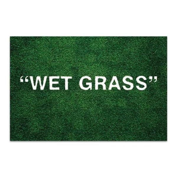 商品名:  Add a Pop of Green to Your Home with Our Soft &amp; Non-Slip Wet Grass Rug - Perfect for Bedroom, Bathroom, and Mo...