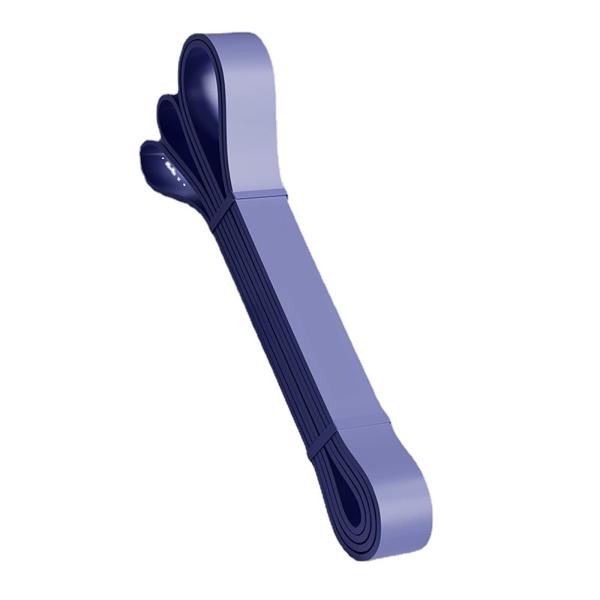 商品名:  FORINC Resistance Bands, Fitness Bands, Fitness, Pull-ups, Muscle Training, Body Contouring, Gym, Outdoor Sports, ...