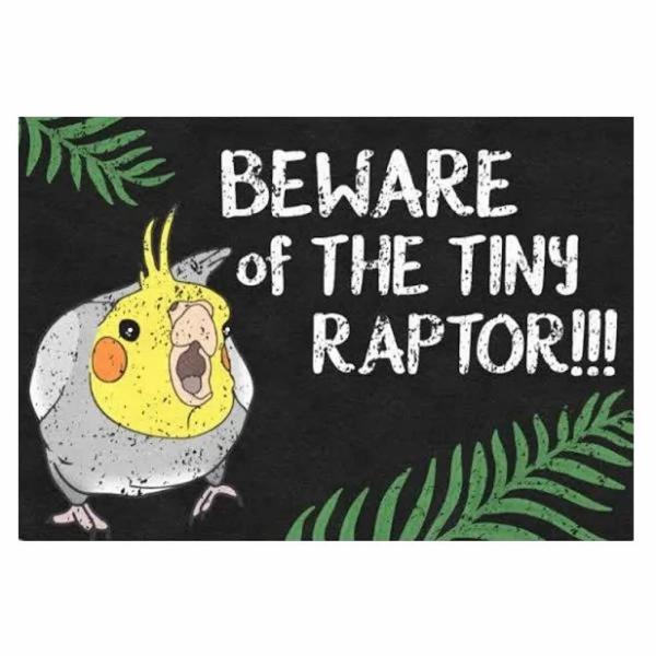 商品名:  KAMIAK Beware of The Tiny Raptor Cockatiel Door Mat, Home Decor Welcome Mat for Bird Lovers. Anti-Slip Indoor Floo...