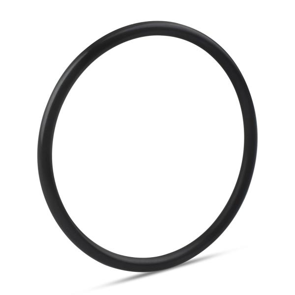 商品名: 35991 サーモスタットガスケット、Ford F-150、Transit、C-Max、Police Interceptor Utilityなどに対応 | エンジンクーラントサーモスタットシール (1パック) 35991 Ther...