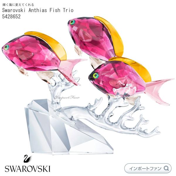 スワロフスキー アンティアス 魚の群れ 3匹 ハナダイ ピンク オレンジ 海 ギフト 置物 Swarovski Anthias Fish Trio 5428652 □