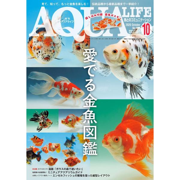 巻頭特集「愛でる 金魚図鑑」実は秋こそ金魚の魅力を一番楽しめる季節です。秋祭りや品評会が多い9月、涼しげに泳ぐ金魚は残暑に最高の癒やしをもたらします。本特集では、和金やらんちゅうといった伝統品種から、最近話題の「ドラゴンスケール(龍の鱗のよ...