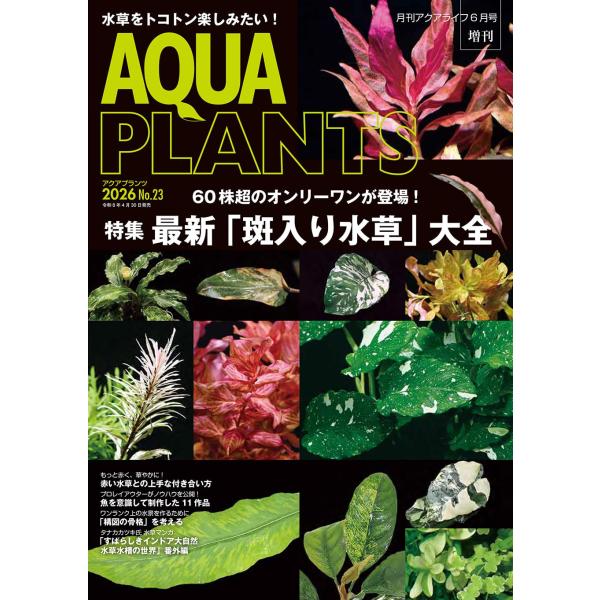 最新「斑入り水草」大全〜60株超のオンリーワンが登場！「アクアプランツ」は水草をとことん楽しむための情報満載でお届けする専門誌です（年1回発売）。今回お届けするのは「斑入り水草」。葉にまだらや点、縞などの模様が入り、上品な美しさで人気。バリ...