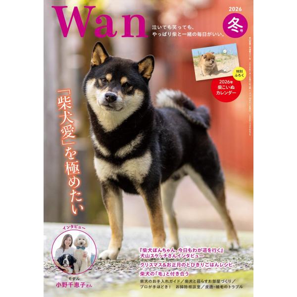 「柴犬愛」を極めたい柴犬って、どうしてこんなに魅力的なんでしょう？マイペースで気分屋だったり、ちょっと頑固だったりするけど、「そんなところも含めて好き！」という方が多い柴。今年の柴犬特集は、そんな「柴犬愛」がいっそう深まる企画をたっぷりお届...