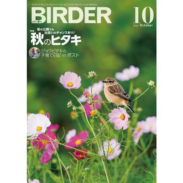 ［特集］街の公園でも出会いのチャンスあり！秋のヒタキ・目立たないヒタキ（一日一種）・探そう！秋のヒタキ類（富士鷹なすび）・秋のヒタキ類のプロフィール（富士鷹なすび・廣田純平）・どこを探す？ 観察ポイントと見どころ・フィールドでの注意点（富士...