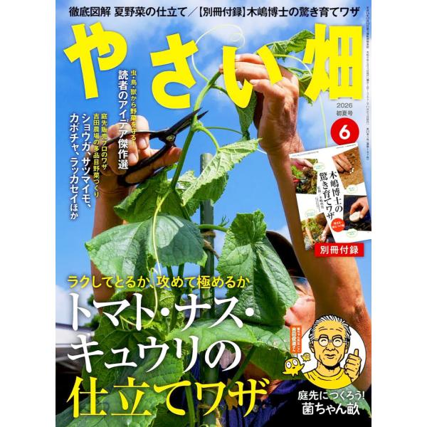 【特集】ラクしてとるか　攻めて極めるかトマト・キュウリ・ナスの仕立てワザ枝をどう伸ばすか、どこで切るか――。仕立て方によって、野菜の育ちは大きく変わります。わき芽が次々と伸びるトマト、ナス、キュウリは、とくに仕立てが重要で、放っておくと枝葉...