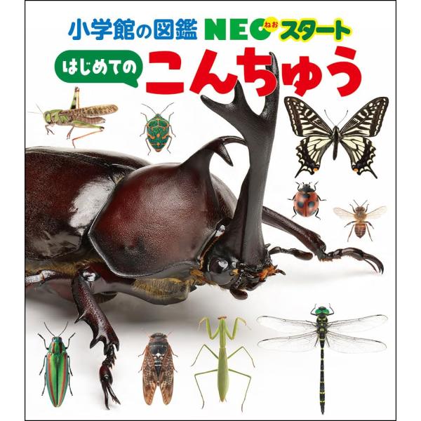 2歳から楽しめる「図鑑NEOの入門版」!漢字は一切なし! 「NEOスタート」は2歳からやさしく覚えられる、図鑑NEOの入門版シリーズです。親子での読み聞かせはもちろん、小さなお子様ひとりでも読み進められます。約140種類の昆虫が登場! この...