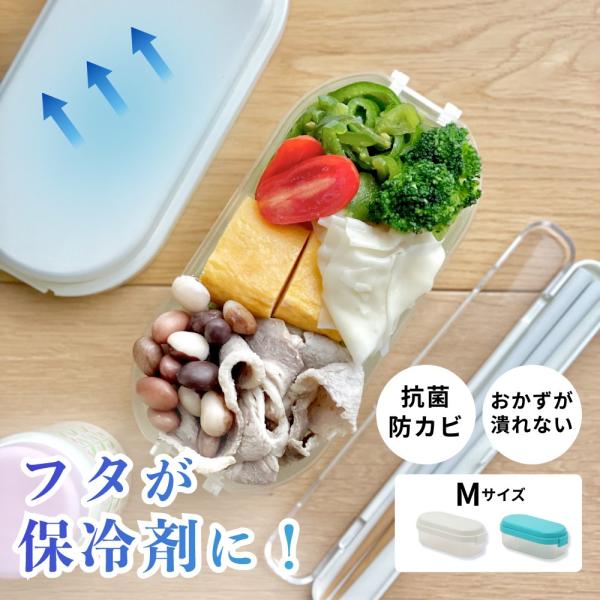 plus dome クリアランチボックス　抗菌　S/M  食品をより安全に持ち運べるお弁当箱。GEL-COOLはフタの内部に保冷ジェルを封入しています。フタを凍らせて使用することにより、フタそのものが保冷剤の役目を果たすため、暖かい日でも安...