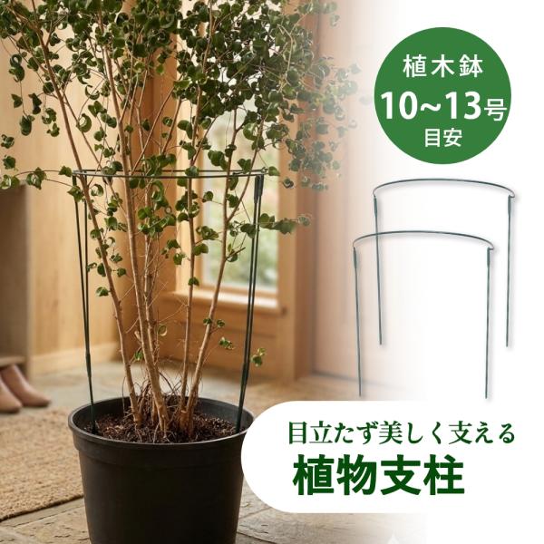 植物の美しい姿をキープする植物用支柱こんなお悩みがある方に・雨や風で花や茎が倒れてしまう・株が広がってまとまらない・花が地面についてしまう・支柱ひもで固定するのが面倒美しい姿を長く楽しむために・倒れる前に美しい姿をキープ・成長に合わせてしっ...