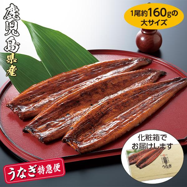 お中元 2026 うなぎ 鰻 土用の丑 山田水産 鹿児島県産山田のうなぎ恵みセット（化粧箱入） 3尾 ギフト いなげや イナゲヤお中元 御中元  夏ギフト 人気 高級【商品内容】鹿児島県産鰻長焼 160g×3尾、タレ 10ml山椒付3ケ別添...