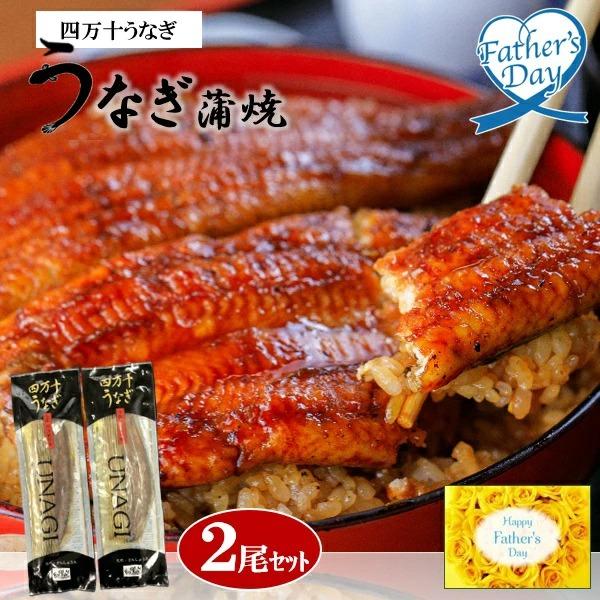 父の日 ギフト 鰻 うなぎ グルメ 四万十うなぎ 蒲焼 2尾セット いなげや プレゼント 2026 70代 60代 メッセージカード 高級 人気日本最後の清流・四万十川。その河口でとれたシラスウナギに限定し、四万十川流域の清澄な地下水で四万...
