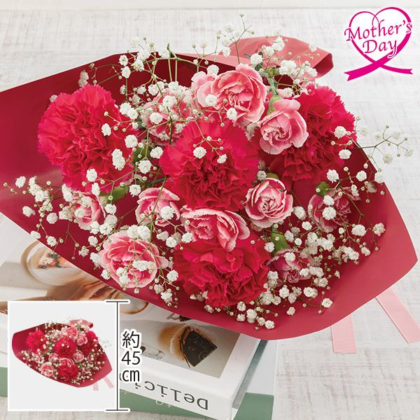 母の日 ギフト カーネーション 花束 花 花束『ロゼシャンパーニュ』 いなげや プレゼント 2026 70代 60代 メッセージカード 高級 人気【商品内容】カーネーション（濃いピンク×4）、スプレーカーネーション（複色ピンクホワイト×3）...