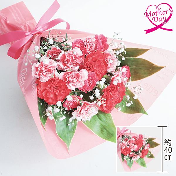 母の日 ギフト カーネーション 花束 花 花束『プレシャスブーケ』 いなげや プレゼント 2026 70代 60代 メッセージカード 高級 人気【商品内容】カーネーション×3、スプレーカーネーション×3、カスミソウ×1、ドラセナ×1、ラッピ...