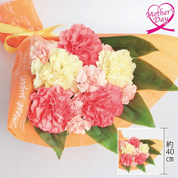 母の日 ギフト カーネーション 花束 花 花束『シトラスブーケ』 いなげや プレゼント 2026 70代 60代 メッセージカード 高級 人気【商品内容】カーネーション×5、スプレーカーネーション×2、ドラセナ×1、ラッピング、リボン長さ約...