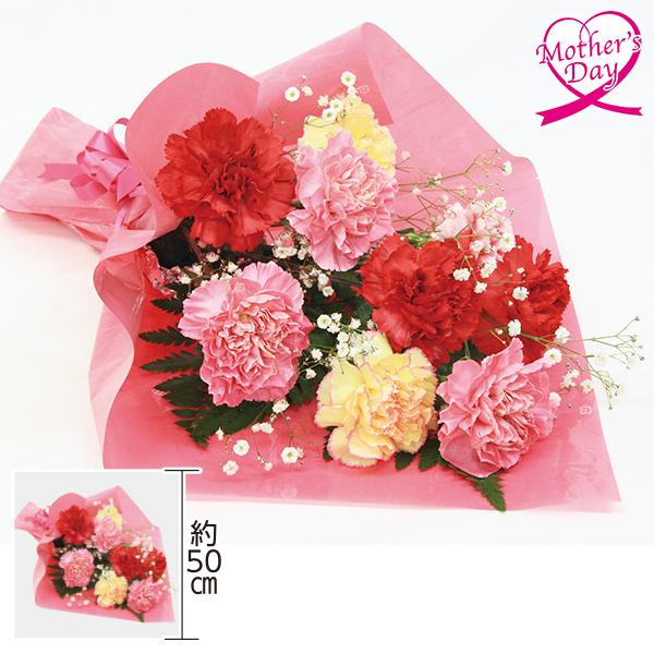 母の日 ギフト カーネーション 花束 花 花束『大輪カーネーション』 いなげや プレゼント 2026 70代 60代 メッセージカード 高級 人気【商品内容】カーネーション×9、カスミ草×2、グリーン、ラッピング、リボン長さ約50cm王道の...