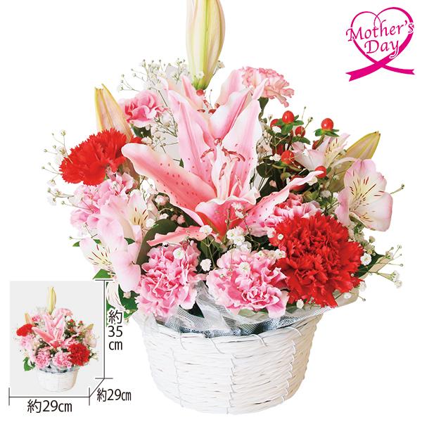 母の日 ギフト カーネーション アレンジメント 花 アレンジメント『リリーアレンジ』 いなげや プレゼント 2026 70代 60代 メッセージカード 高級 人気【商品内容】ユリ×1、カーネーション×3、スプレーカーネーション×1、アルスト...