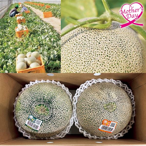 母の日 ギフト フルーツ 食べ物 茨城県産 旭村 青肉・赤肉メロンセット いなげや プレゼント 2026 70代 60代 メッセージカード 高級 人気【商品内容】2Lサイズ以上 2玉入（化粧箱）爽やかな青肉メロンと濃厚な赤肉メロンを組み合わ...