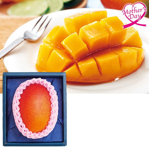 母の日 ギフト フルーツ 食べ物 宮崎県産 マンゴー いなげや プレゼント 2026 70代 60代 メッセージカード 高級 人気【商品内容】2Lサイズ以上 1玉入（化粧箱）とろけるような食感とフルーティーな甘み、芳醇な香りが特徴です。母の...