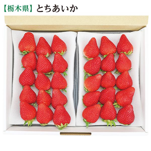 栃木県産 とちあいか 約320g（12〜15粒）×2パック お取り寄せ 送料無料 【商品内容】約320g（12〜15粒）×2パック【栃木県】とちあいかスッキリとした口当たりで酸味が少なく甘みが強いいちごです。旬をお届け・商品写真はイメージで...