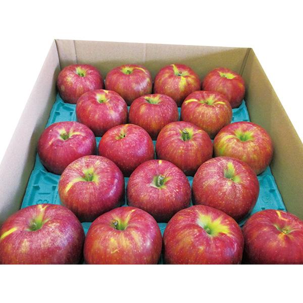 長野県産 JAみなみ信州 シナノスィート 1箱5kg（16玉〜20玉） お取り寄せ 送料無料 【商品内容】1箱5kg（16玉〜20玉）長野で生まれた、糖度が高くジューシーなリンゴです。旬をお届け・商品写真はイメージです。・お中元にはご利用で...