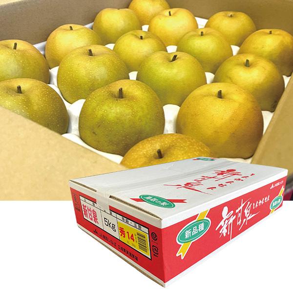 鳥取県産 新甘泉 8〜16玉（5kg箱） お取り寄せ 送料無料 【商品内容】8〜16玉（5kg箱）大玉の品種で、糖度が高く酸味が少ないのが特徴です。旬をお届け・商品写真はイメージです。・お中元にはご利用できません。・この商品の承り期日は8月...