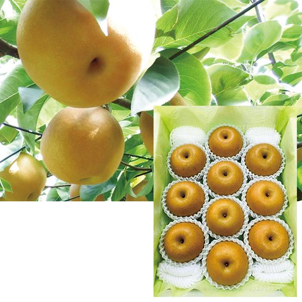 栃木県産 豊水梨 9玉〜11玉（3kg箱） お取り寄せ 送料無料 【商品内容】9玉〜11玉（3kg箱）柔らかく、糖度と酸味のバランスが良い品種です。旬をお届け・商品写真はイメージです。・お中元にはご利用できません。・この商品の承り期日は8月...