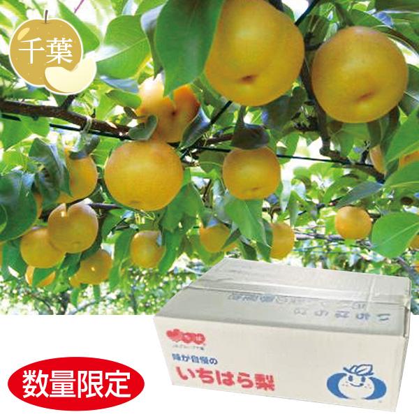 お中元 2026 梨 フルーツ 千葉県産 JA市原市 幸水梨 ギフト いなげや イナゲヤお中元 御中元  夏ギフト 人気 高級 お取り寄せ【商品内容】3kg箱（6玉〜9玉）千葉県の中心に位置する市原市より旬の梨を届けます。千葉・商品写真はイ...