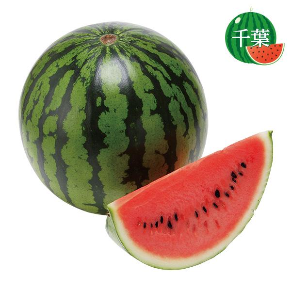 お中元 2026 スイカ フルーツ 千葉県産 JAちばみらい 大玉西瓜 ギフト いなげや イナゲヤお中元 御中元  夏ギフト 人気 高級 お取り寄せ【商品内容】1玉（7kg）千葉県の温暖な気候と肥沃な土壌で育てた甘い西瓜です。千葉・商品写真...
