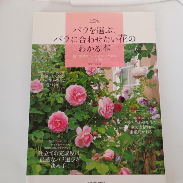 中古品−可経年の使用、保管によるヤケ、汚れ、くすみ、スレ、ヨレ、小傷、シミなどがございます。経年のダメージはございますが通読に問題ございません。現状での出品とさせていただきます。