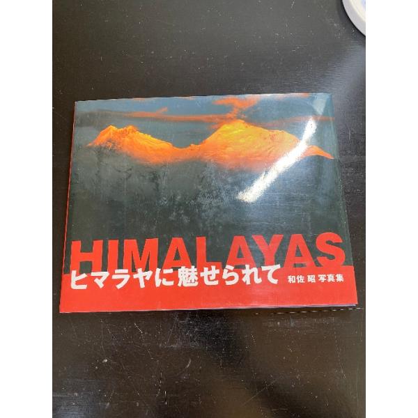 中古品−可経年の使用、保管によるヤケ、汚れ、くすみ、スレ、ヨレ、小傷、シミなどがございます。経年のダメージはございますが通読に問題ございません。現状での出品とさせていただきます。