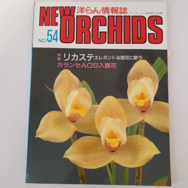 中古品−可経年の使用、保管によるヤケ、汚れ、くすみ、スレ、ヨレ、キズ、シミなどがございます。経年のダメージはございますが通読に問題ございません。現状での出品とさせていただきます。