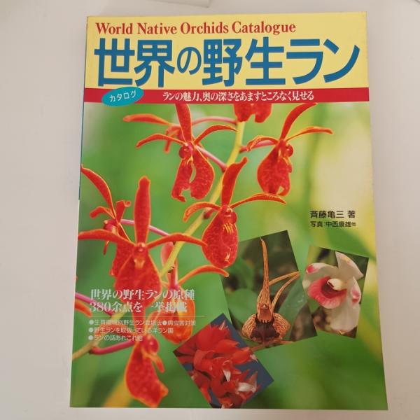中古品−可経年の使用、保管によるヤケ、汚れ、くすみ、スレ、ヨレ、キズ、シミなどがございます。経年のダメージはございますが通読に問題ございません。現状での出品とさせていただきます。